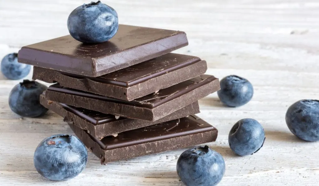 Can You Have Dark Chocolate on Carnivore Diet? Here’s What’ll Happen ...