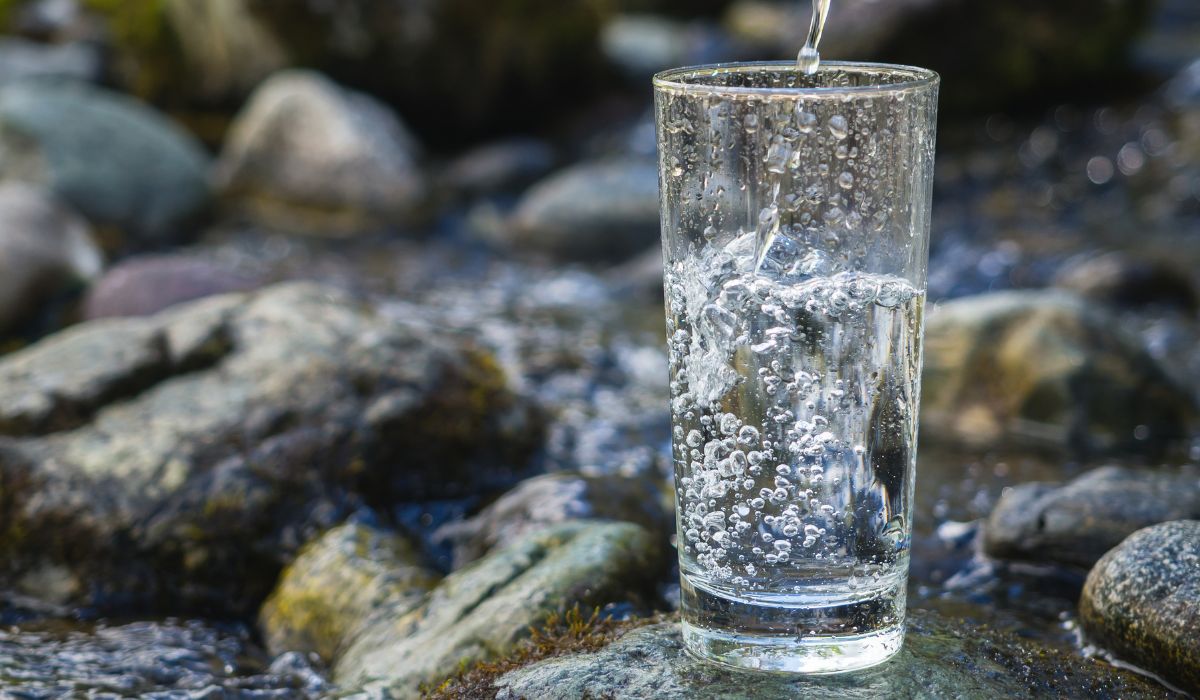 19 Effective Ways to Deal with Sugar Cravings on Carnivore Diet ...